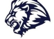 Chemistry leads to offence for Lions | Brantford Expositor