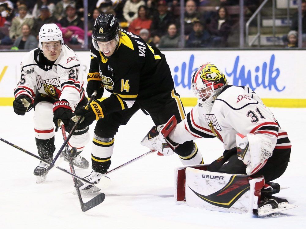Owen Sound Attack top Sarnia Sting in clash of struggling teams | The ...