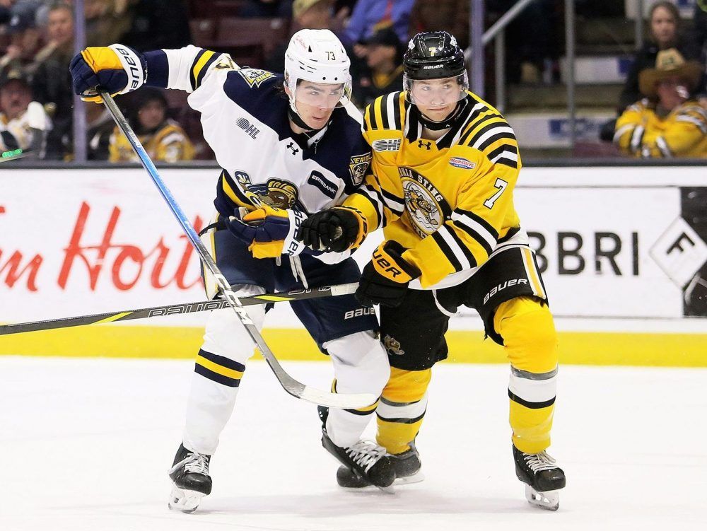 Sarnia Sting general manager takes aim at 2027 conference title | The ...