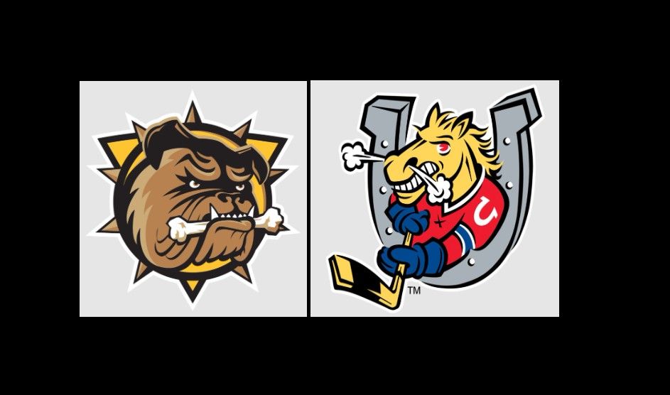 Brantford Bulldogs make statement in ending Barrie Colts win streak ...