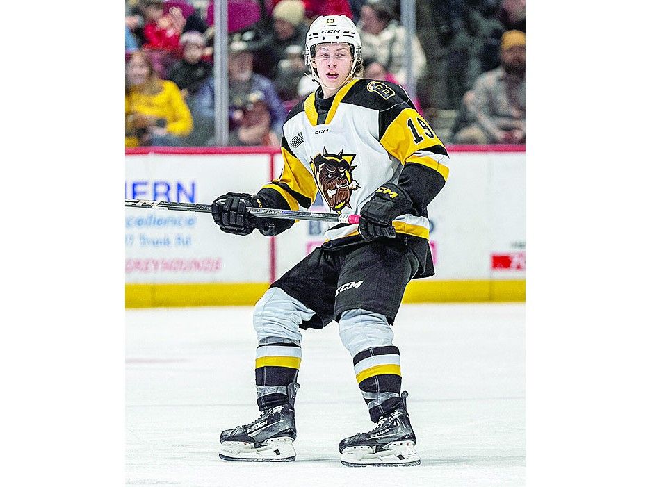 Veteran laden Brantford GM has not lost sight of young talent | Sault ...