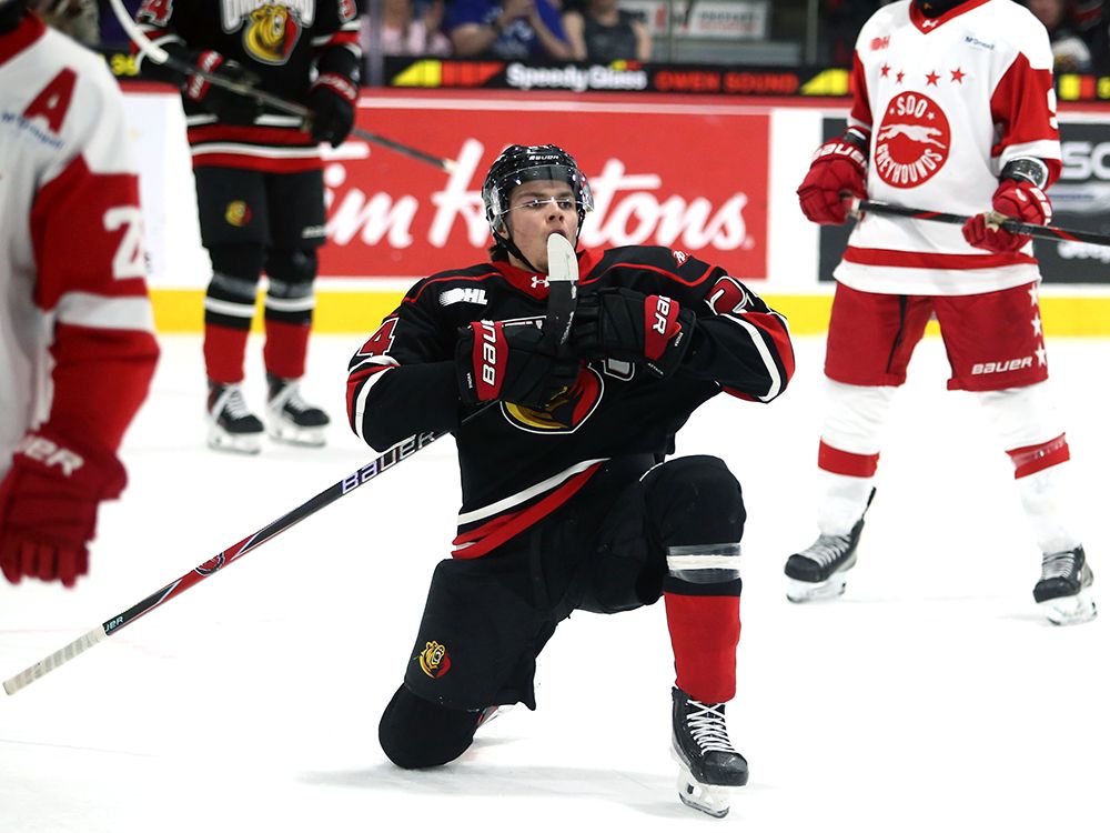Owen Sound Attack schedule features school day and Halloween games ...
