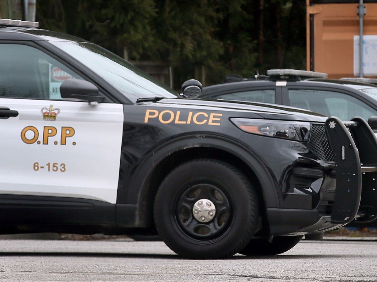 Norfolk OPP apprehend assault suspect | Simcoe Reformer