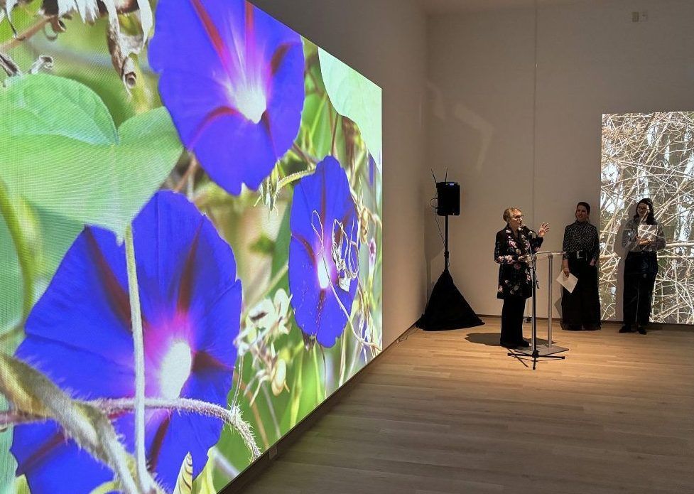 More Than Human exhibition puts focus on native plants and pollinators ...