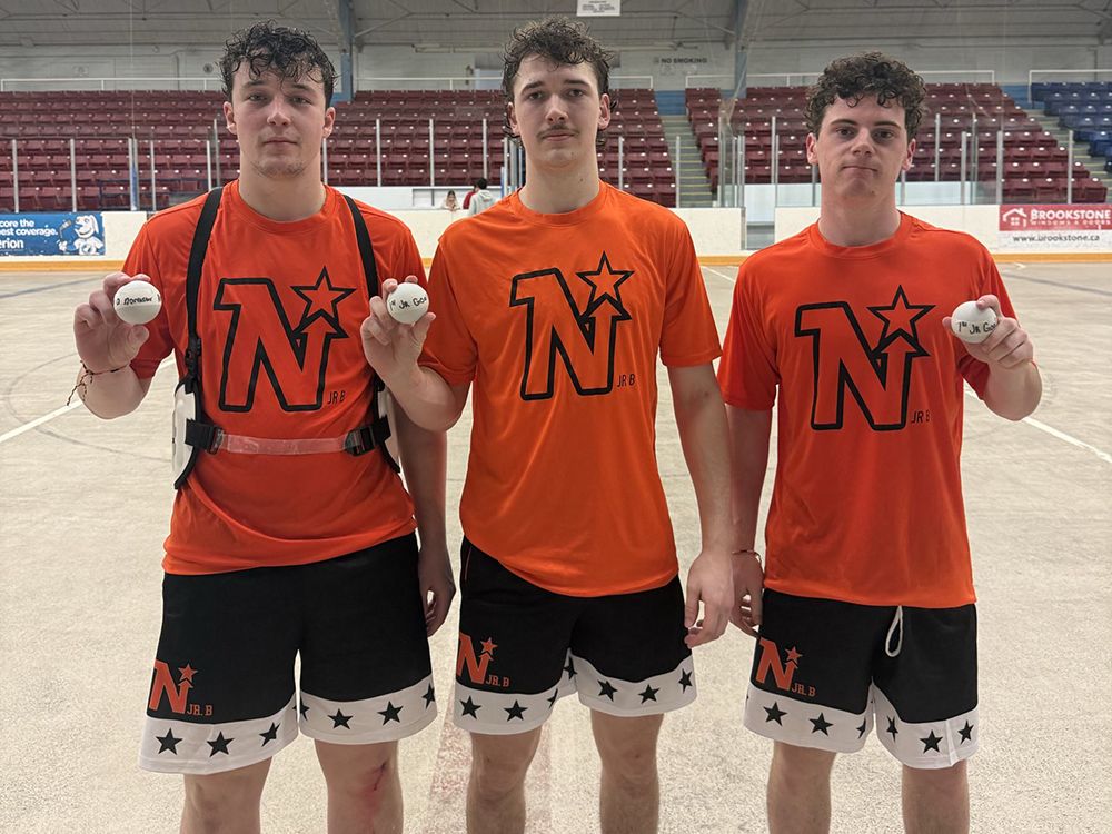 Jr. B North Stars whale on Welland, get run down by Regals | Owen Sound ...