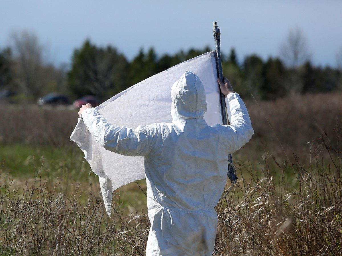Ticks are making Ontarians sick, now more than ever | The Kingston Whig ...