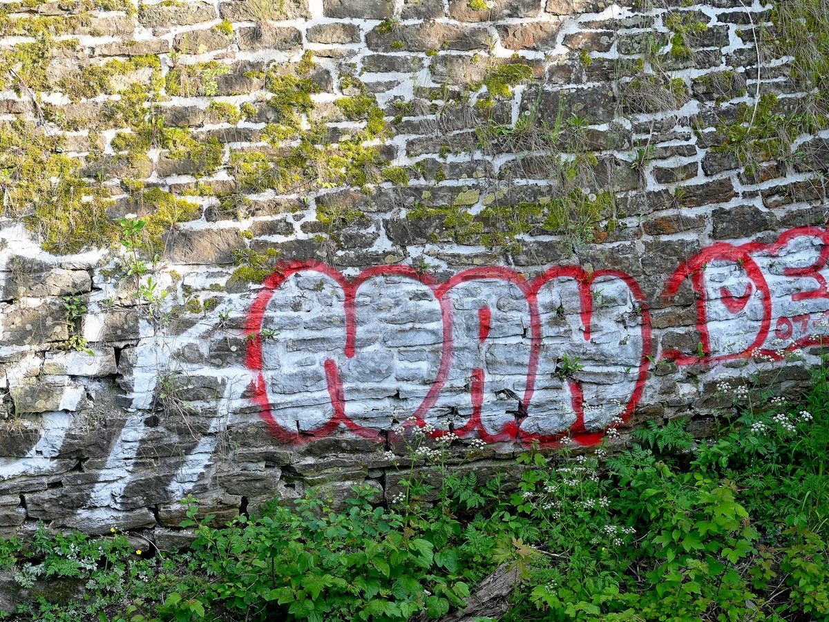 Brock Trail graffiti irks city council | Brockville Recorder & Times