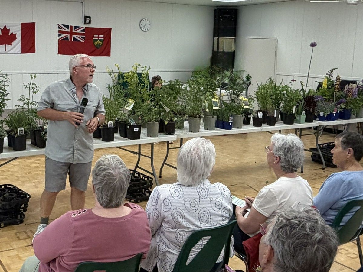 Horticulturist talks native, pollinator plants with Huron Bruce Nature ...