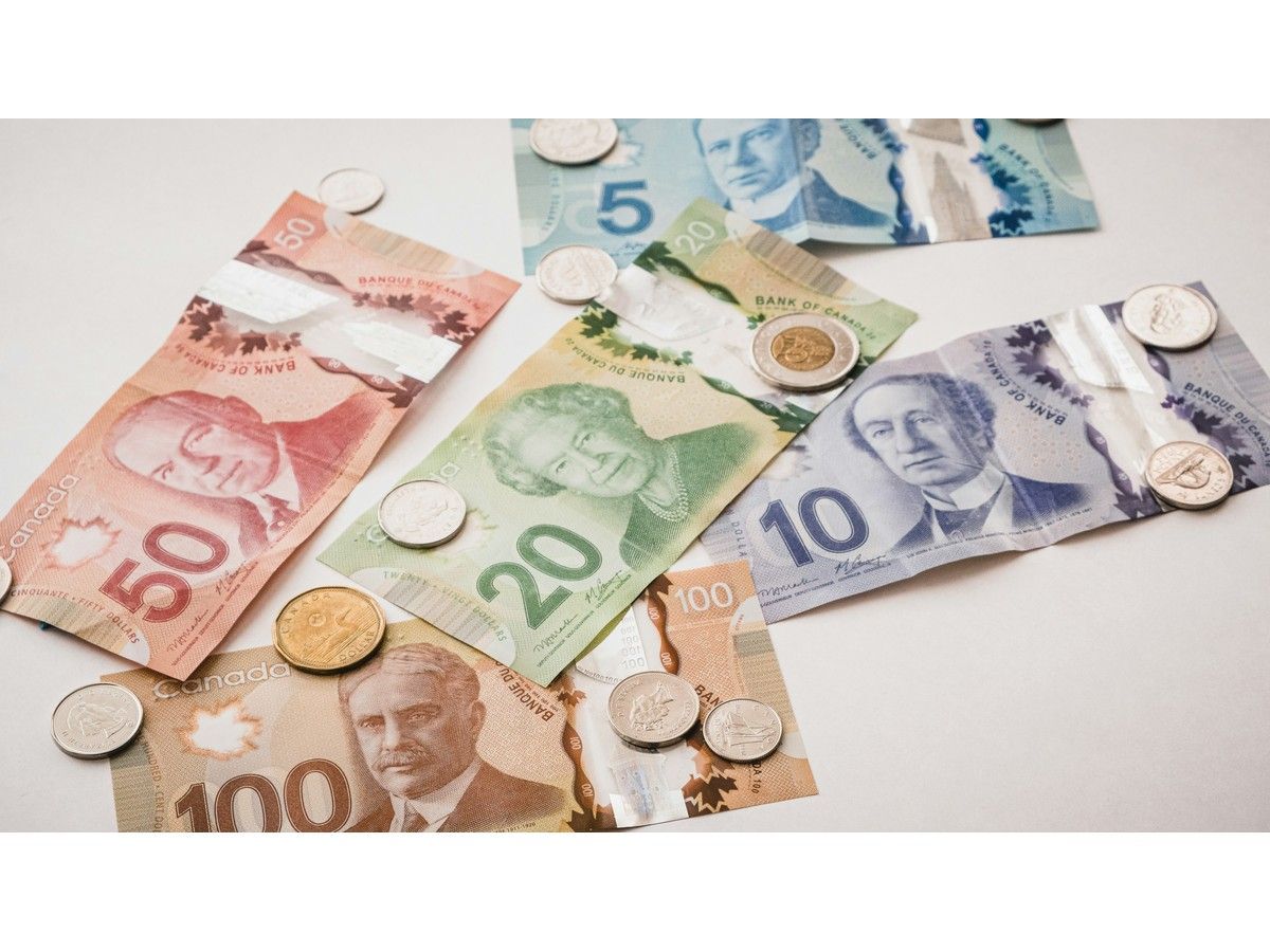 Almost 100 government assistance programs under review in N.B ...