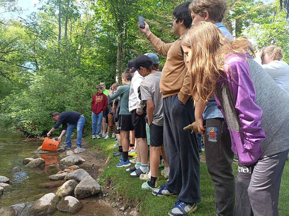 Students release the salmon they helped raise into Sydenham River ...