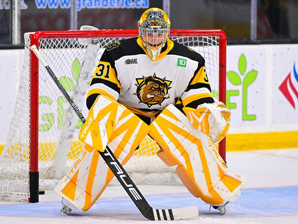 Owen Sound Attack add Ryerson Leenders, signal readiness "to compete ...