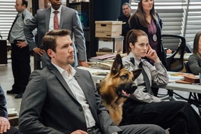 Who's a good boy? Hudson & Rex star living his best doggie life ...