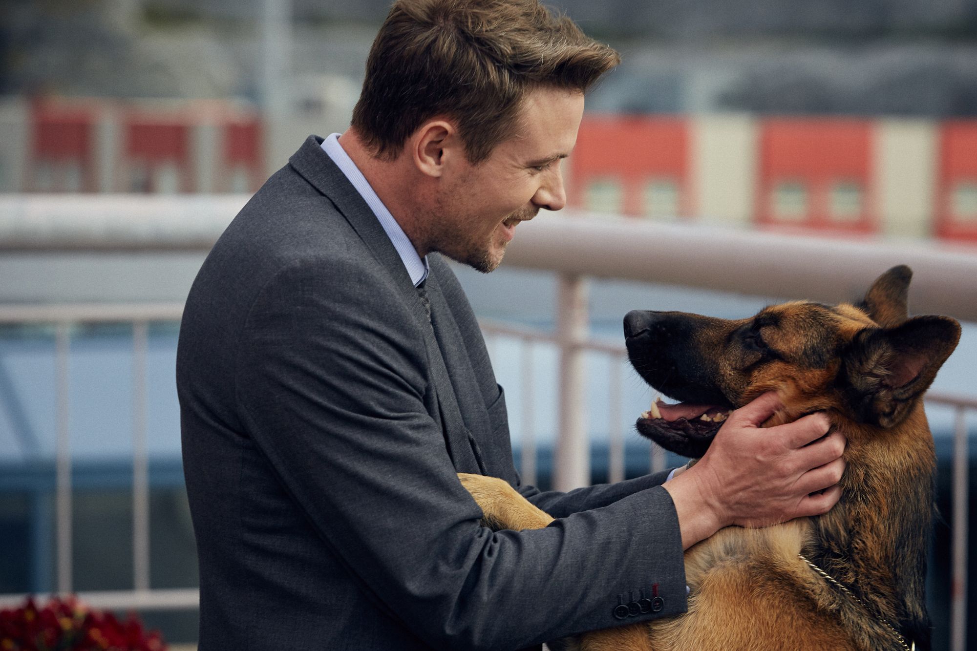 Who's a good boy? Hudson & Rex star living his best doggie life ...