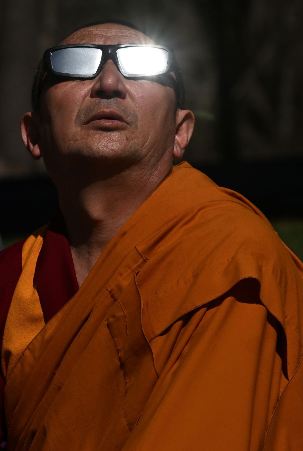 Want to catch an eclipse, blood moon and meteor shower this year ...