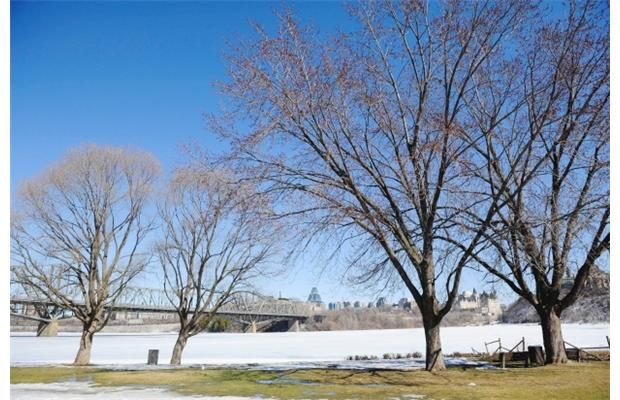 Speaking for the trees | Ottawa Citizen