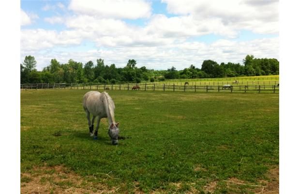 Equestrian park, camping area set to reopen in May | Ottawa Citizen