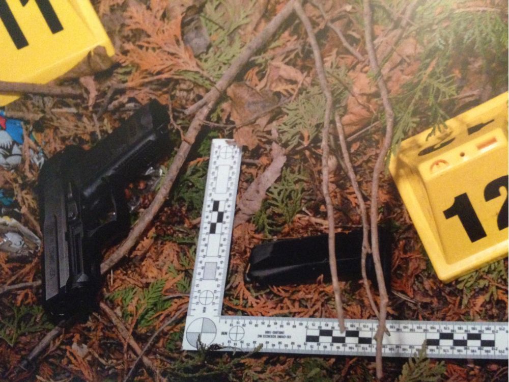 Shooting victim had no chance of surviving, pathologist testifies | Driving