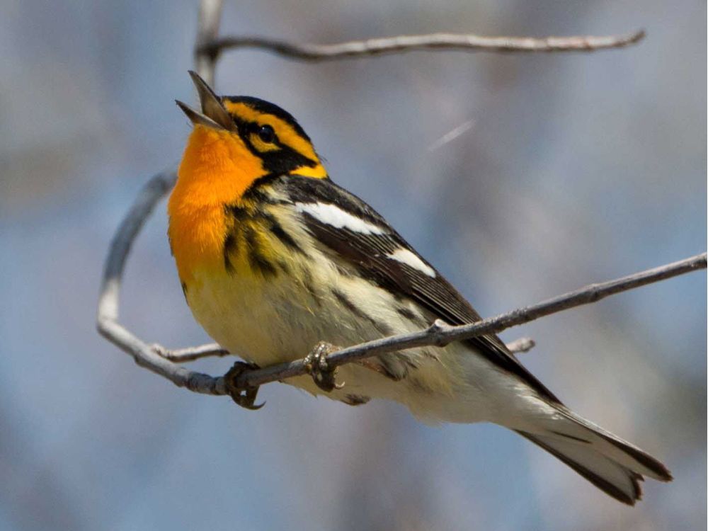 Grieving father aims to bring mental illness out of the dark | Ottawa ...