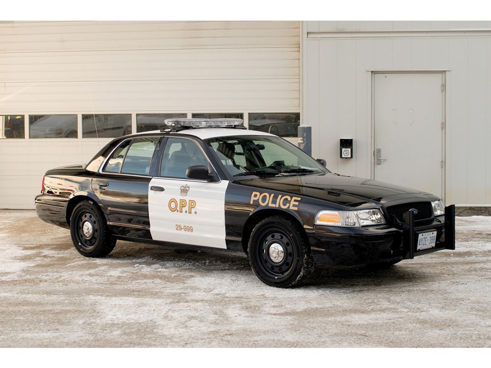 Ottawa woman charged with fraud and theft | Ottawa Citizen