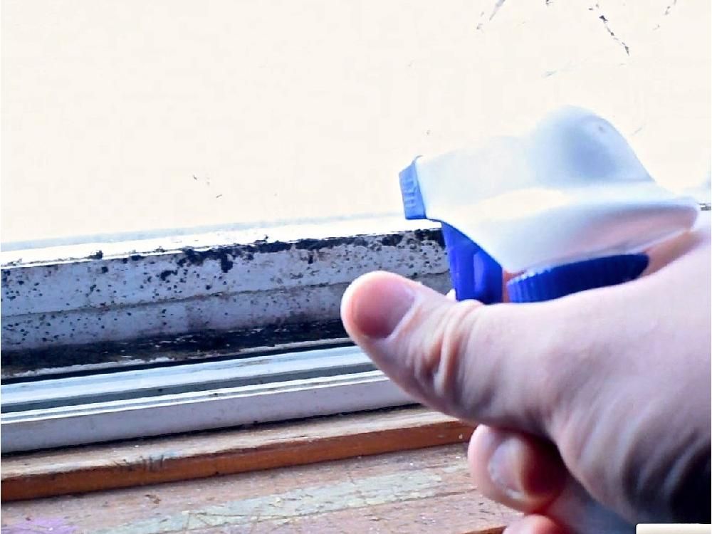 House Works: How to fight mould and win | Ottawa Citizen