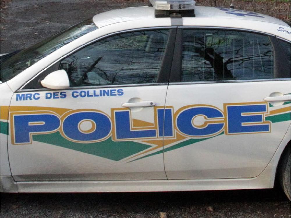 Man flees Quebec police, suffers stinging consequences | Ottawa Citizen