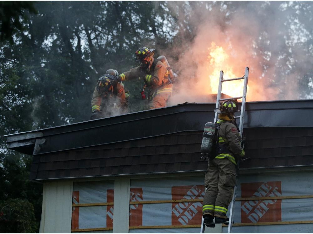 'Everything was about her dogs. That was Nancy': Fire victim mourned ...
