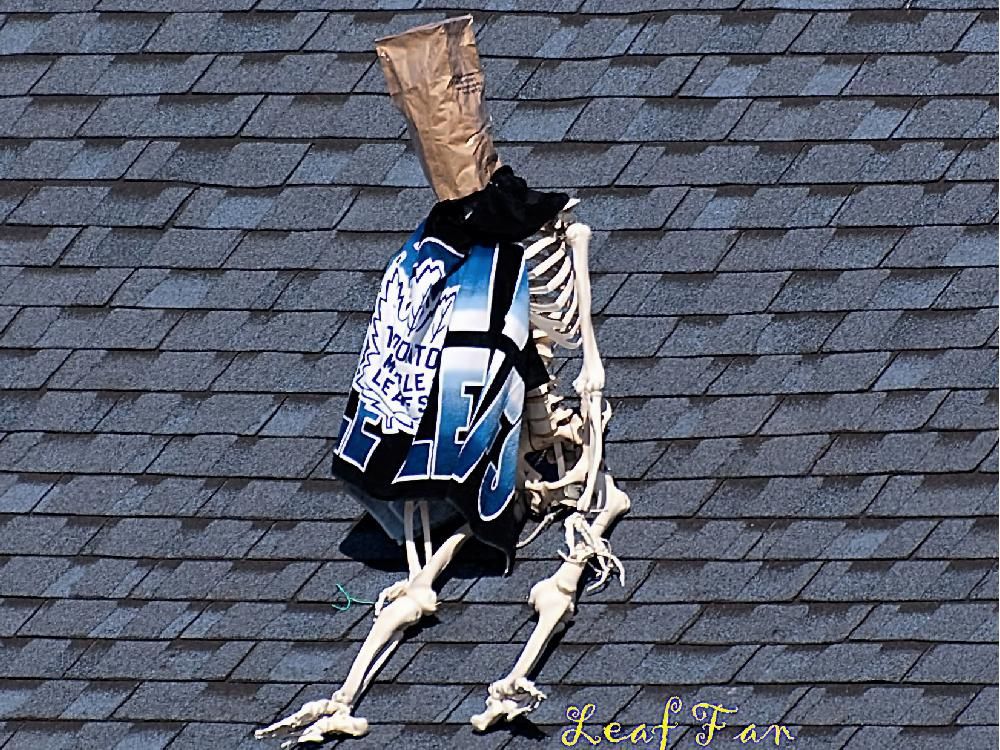 Rooftop skeleton at Carling Chiropractic & Sports Clinic a real hit ...