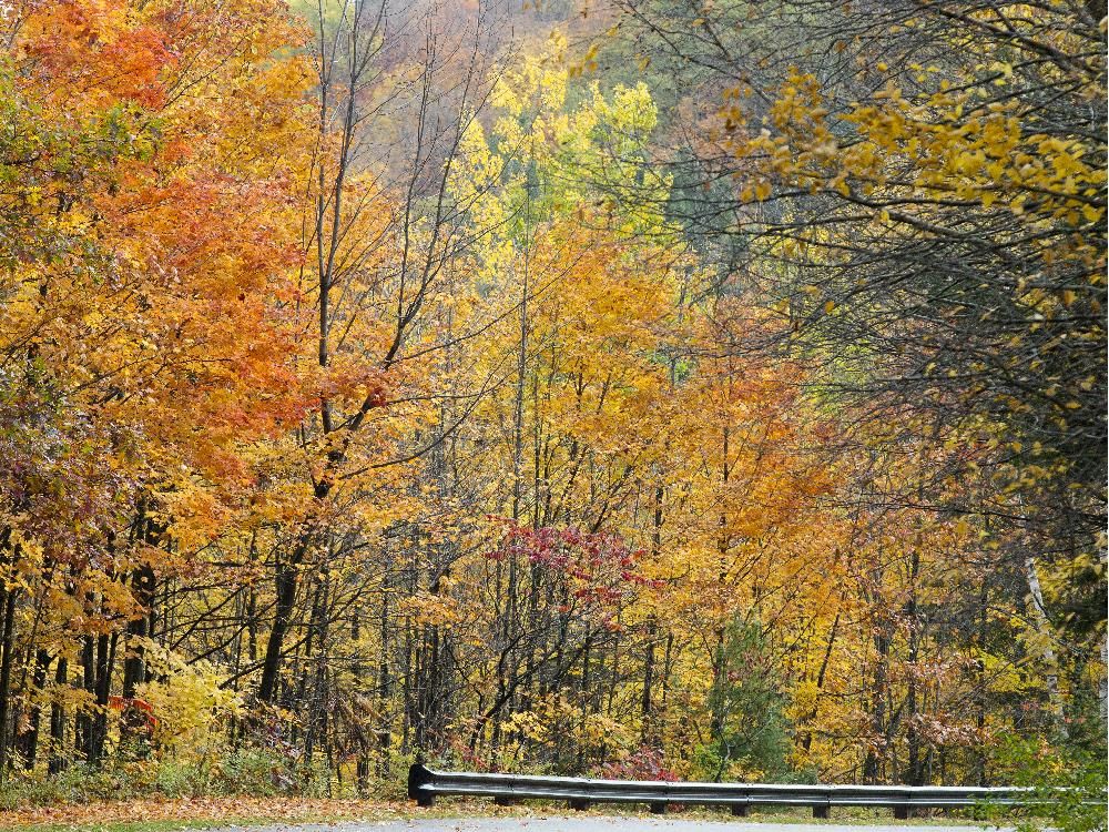 Science of (late) summer: Why it suddenly feels like fall | Ottawa Citizen