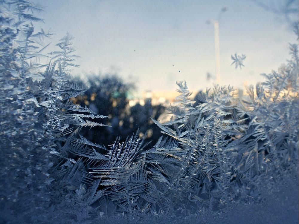Frost warning for capital region and eastern Ontario | Ottawa Citizen