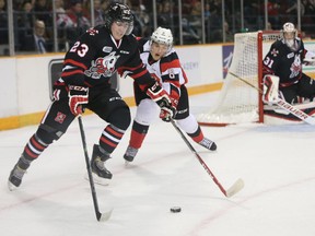 Salituro's hat trick gives Ottawa 67's the win in return to Bank Street ...