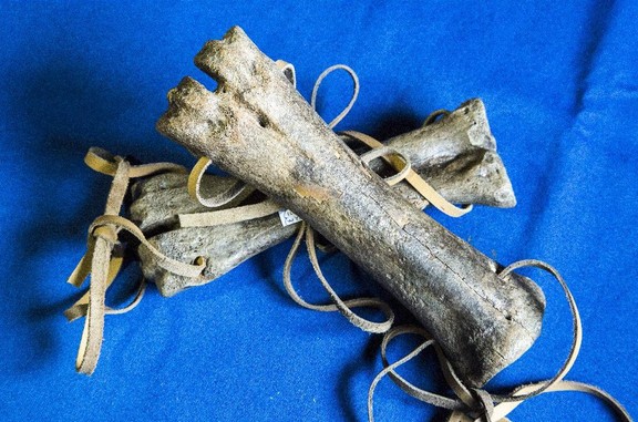 Ottawa man's 'unique' skate collection sharpest thing on ice (with ...