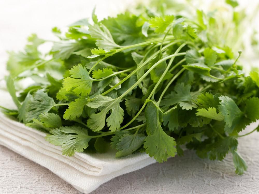 From kale to coriander: Top 12 edibles to grow in the urban garden ...