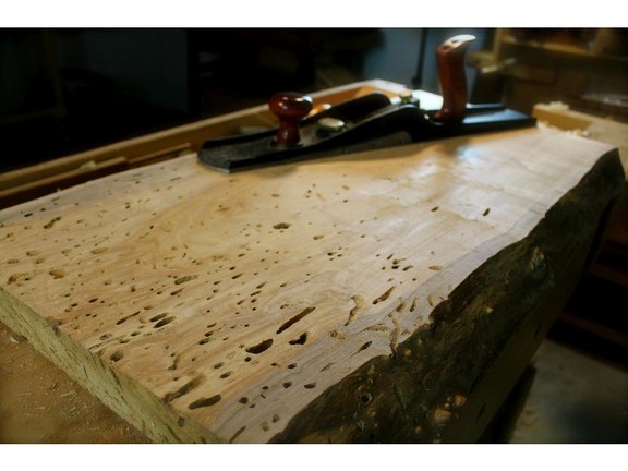 The Maple Leaf Forever: tree that inspired song keeps on giving ...