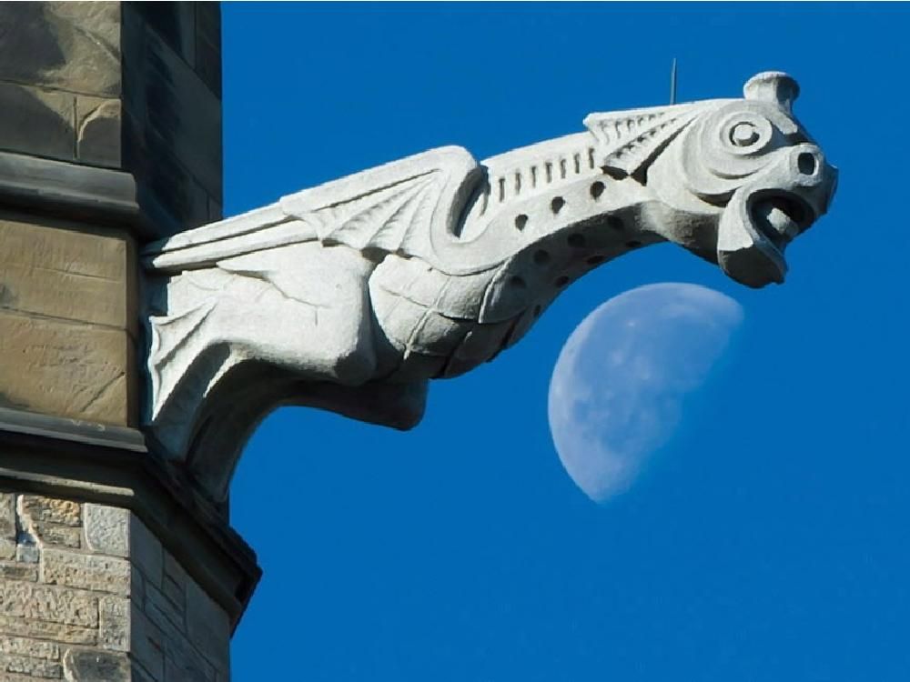 The Gargoyle: Bizarre incident in NDP lobby mars end of session ...