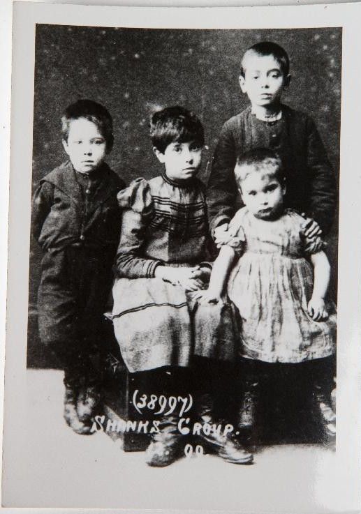 Death in the Dardenelles: The short hellish war of Charles Walter ...