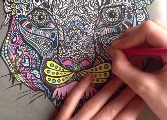 Colouring books for adults reduce stress, encourage creativity | Ottawa ...