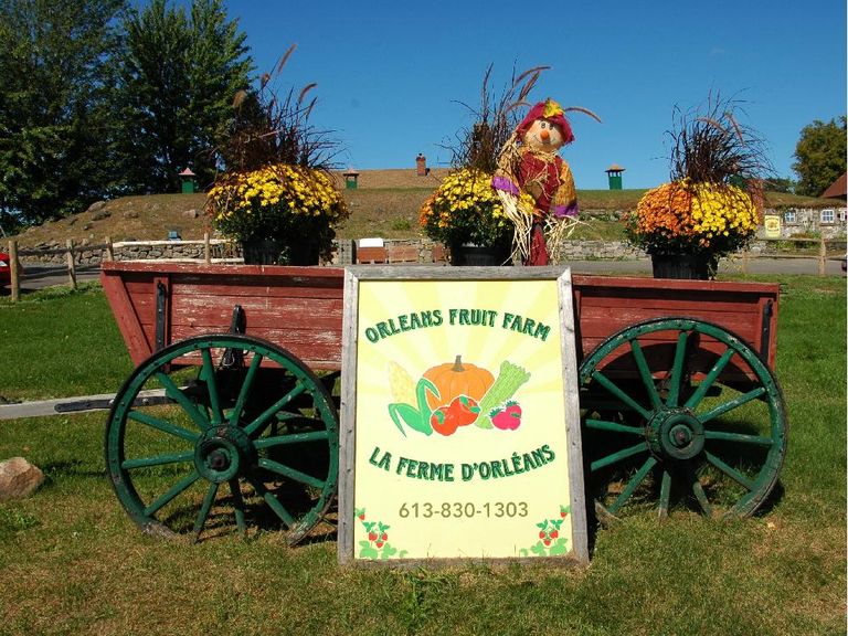 Five worth the drive for apples | Ottawa Citizen