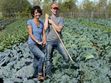 Bluegrass Farm, near Jasper, is growing greens all winter. | Ottawa Citizen