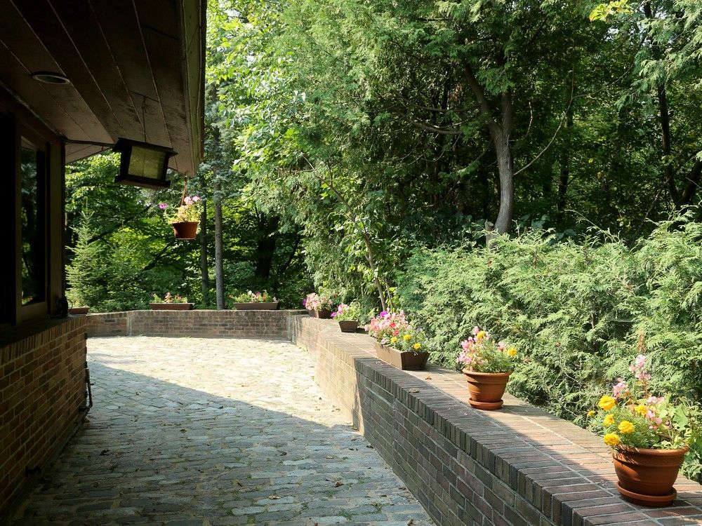 Circular home around a tree was one of James Strutt's most 'unique ...