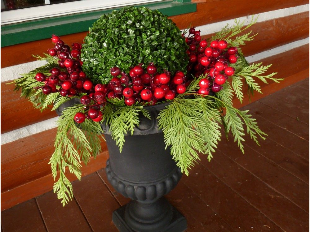 Save on festive greenery by raiding lawn and garden | Ottawa Citizen