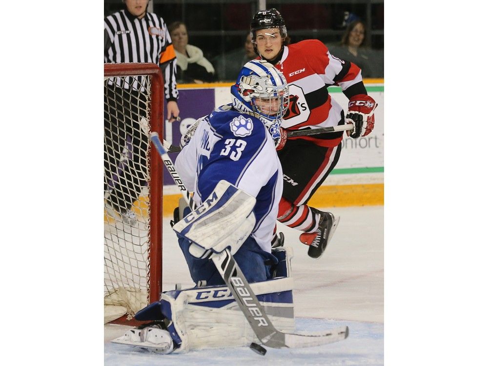 Photos: Wolves at 67s, Feb. 26 | Ottawa Citizen