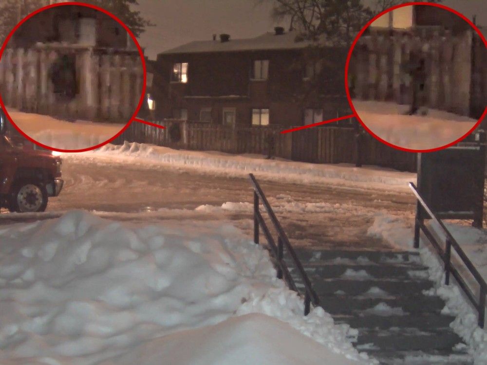 Police appeal for info on two men fleeing Ritchie St. homicide scene ...