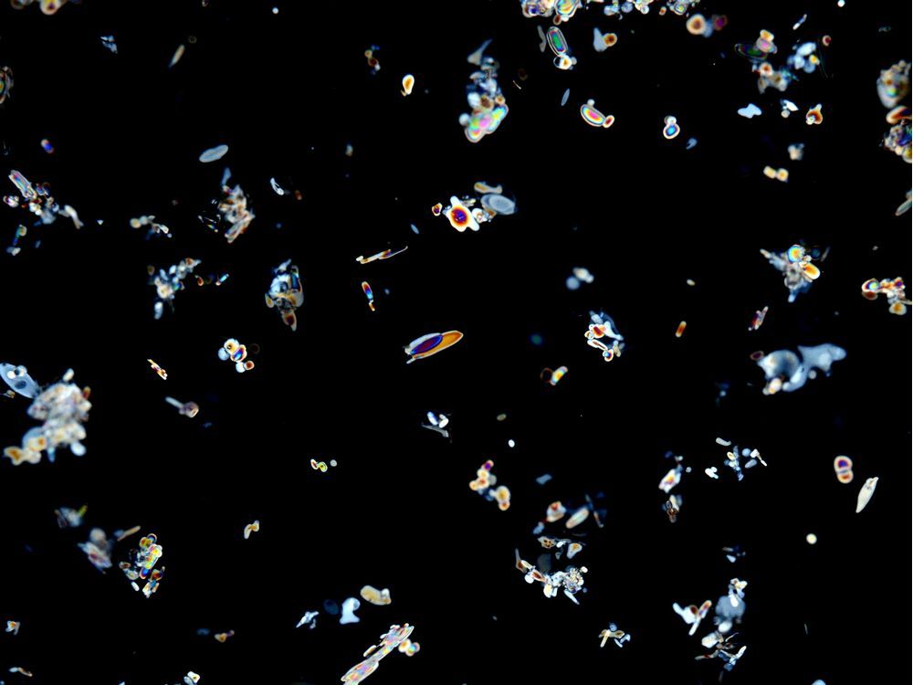 Frazil ice has frazzled Ottawa since 1910 | Ottawa Citizen