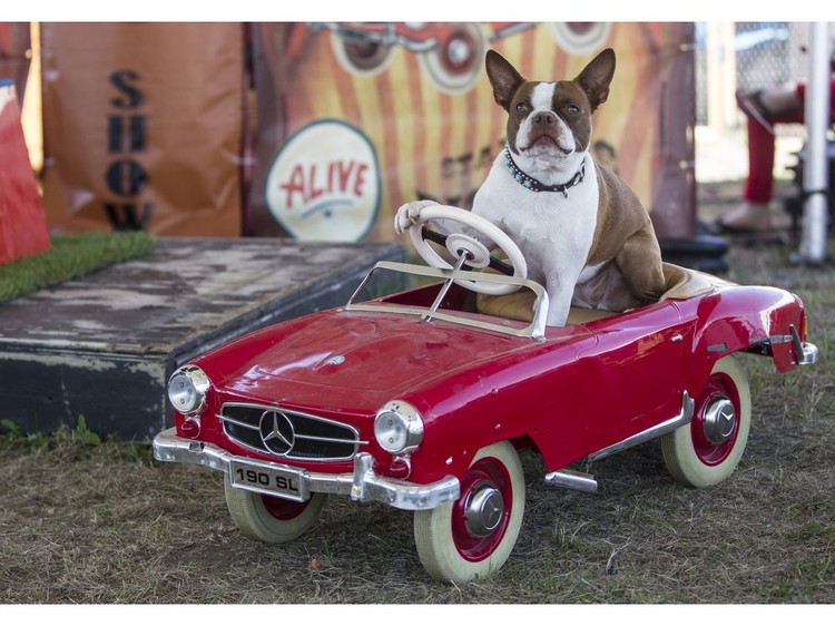 Photos: Fun at the Capital Fair | Ottawa Citizen