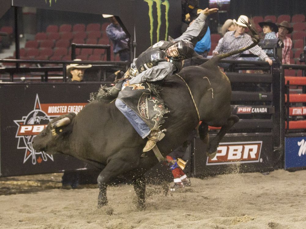 Bull riding in the capital | Ottawa Citizen