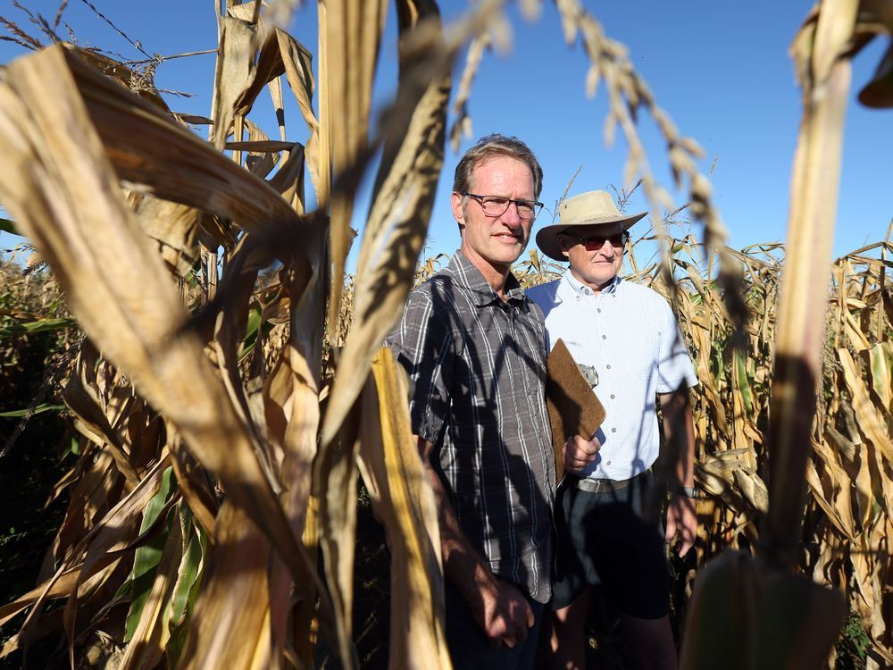 'It would set the research clock back to zero': Unmuzzled scientists ...