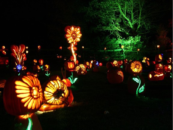 Pumpkinferno, pies and comedy: What to do Thanksgiving weekend | Ottawa ...