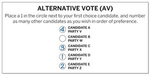 Electoral reform: Five different voting systems, at a glance | Ottawa ...