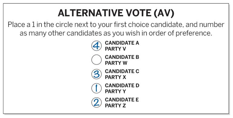 Electoral reform: Five different voting systems, at a glance | Ottawa ...