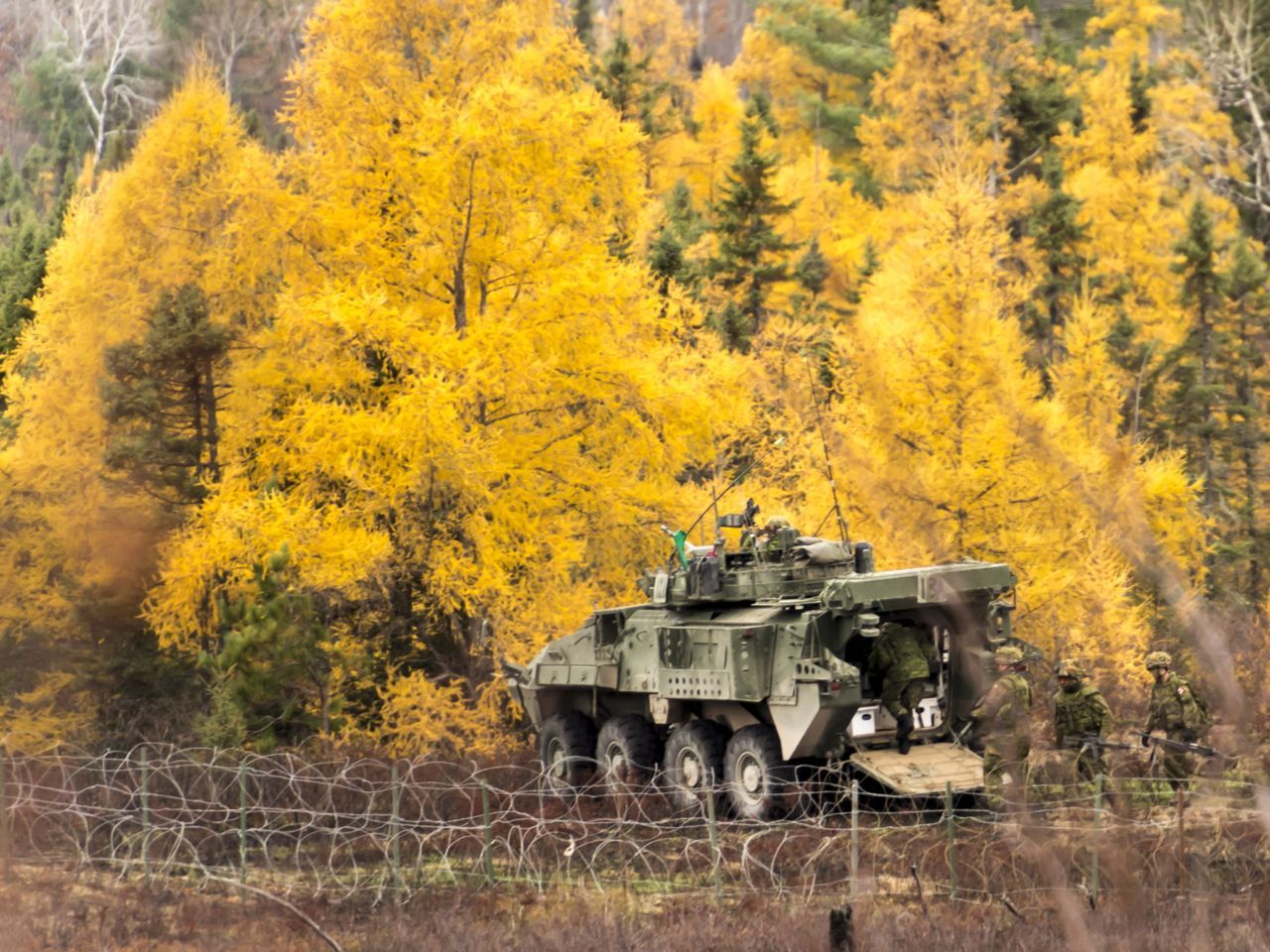 Petawawa troops finish Exercise Storming Bear - 1,500 soldiers took ...